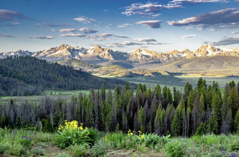 Communications tower planned for Sawtooth Valley | All Things FirstNet